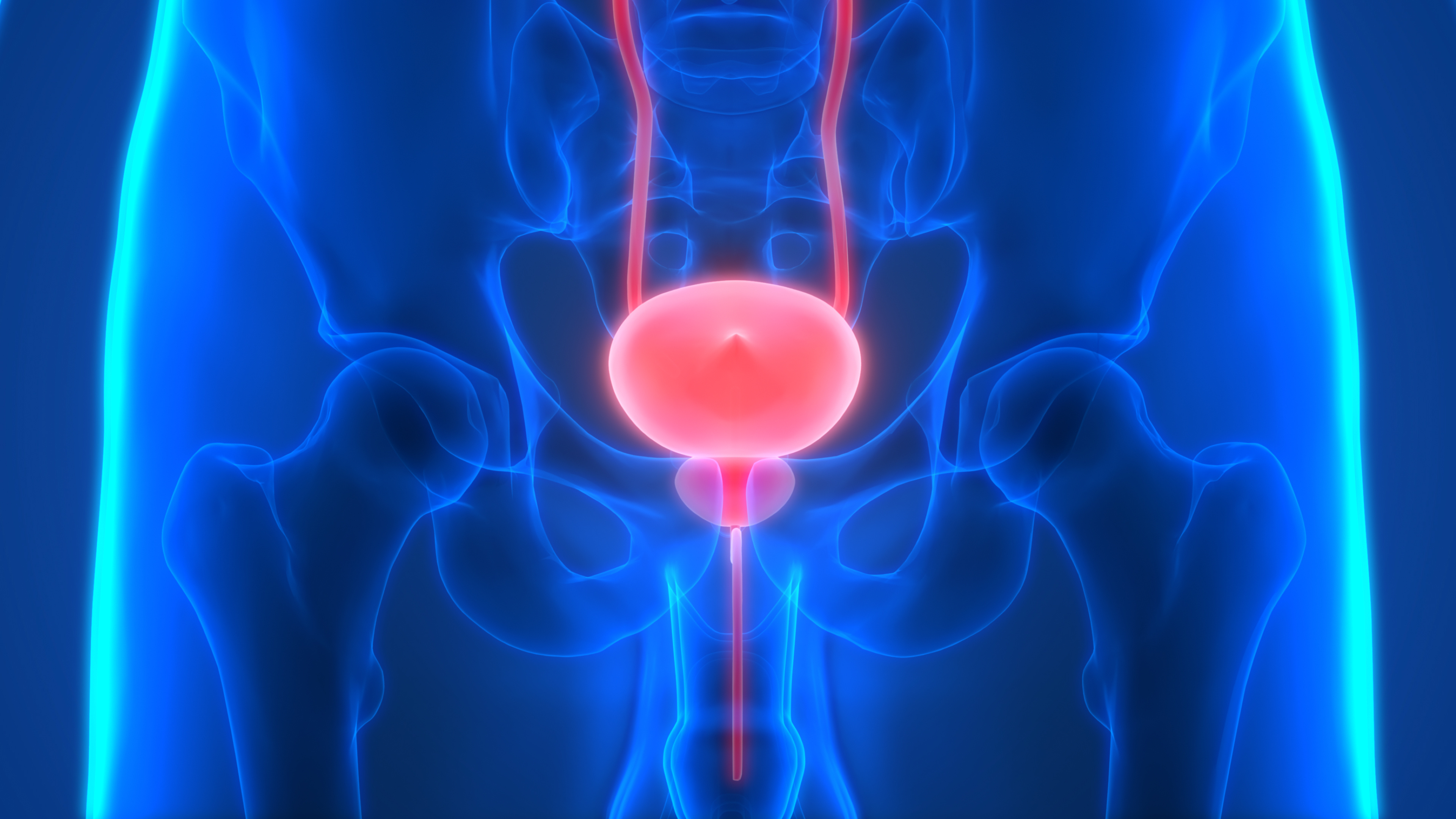 Chemotherapy plus atezolizumab improves survival in metastatic bladder ...