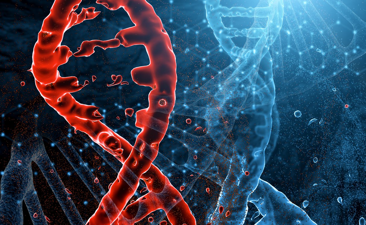 1 in 8 patients with cancer harbour inherited genetic mutations ...