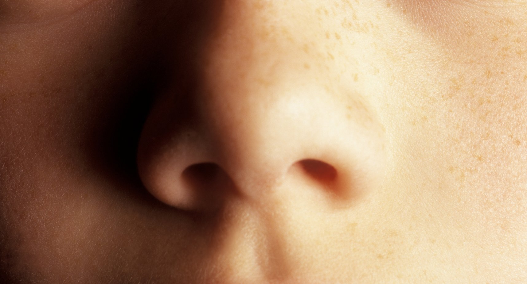 Sense of smell is our most rapid warning system - Medical Update Online