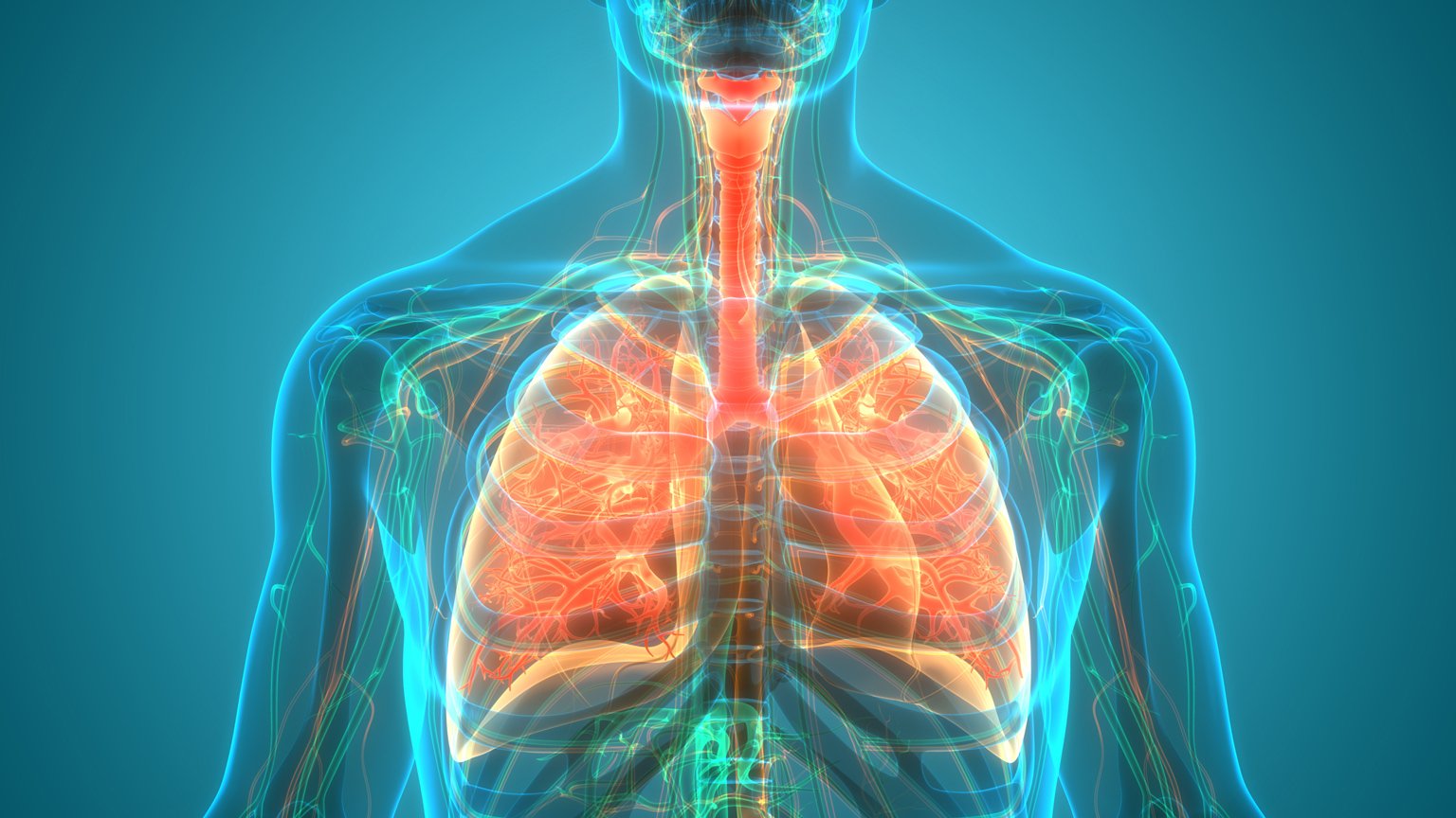 Cystic fibrosis faithfully modelled in a human Lung Airway Chip ...