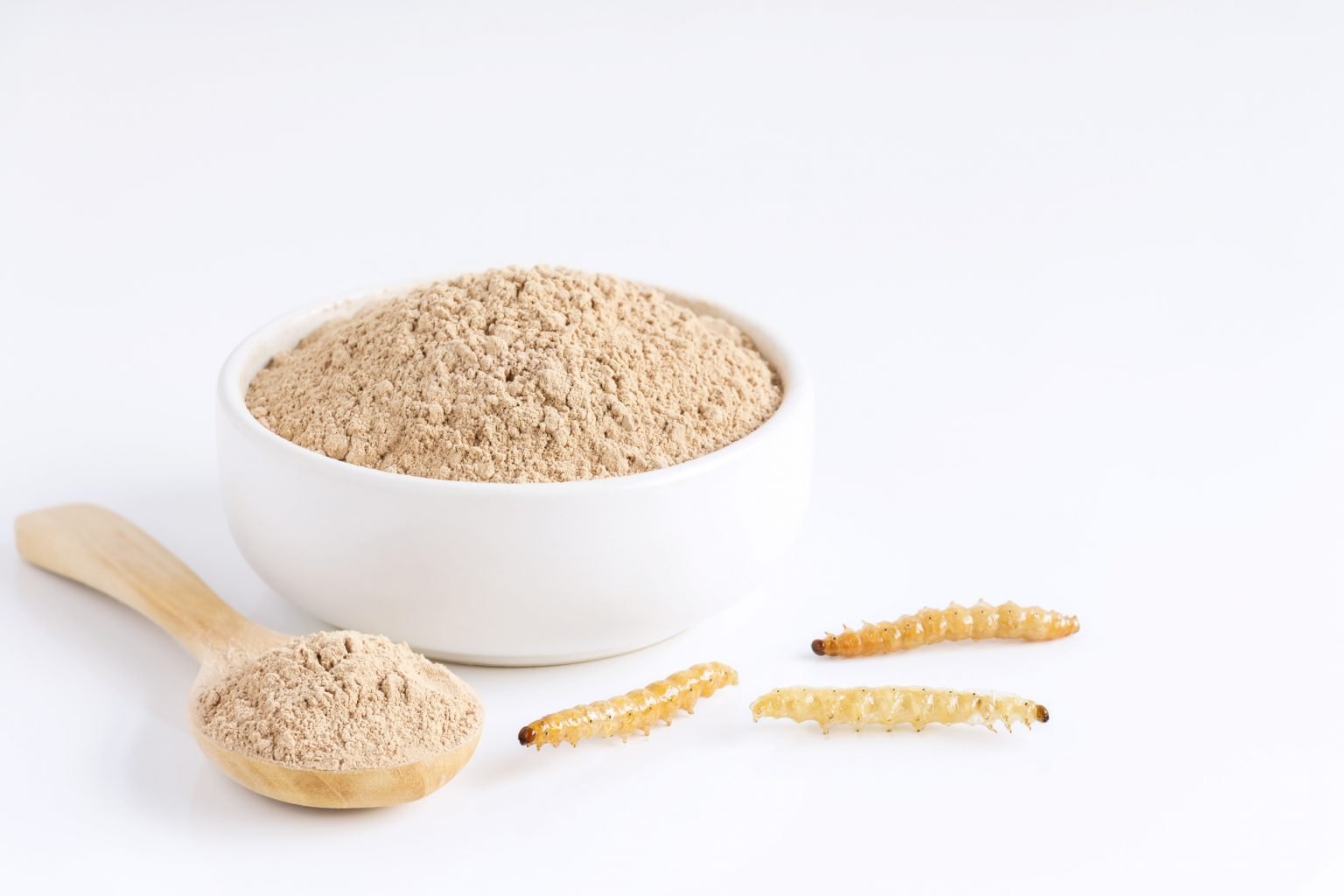 Insects protein the new super food? - Medical Update Online