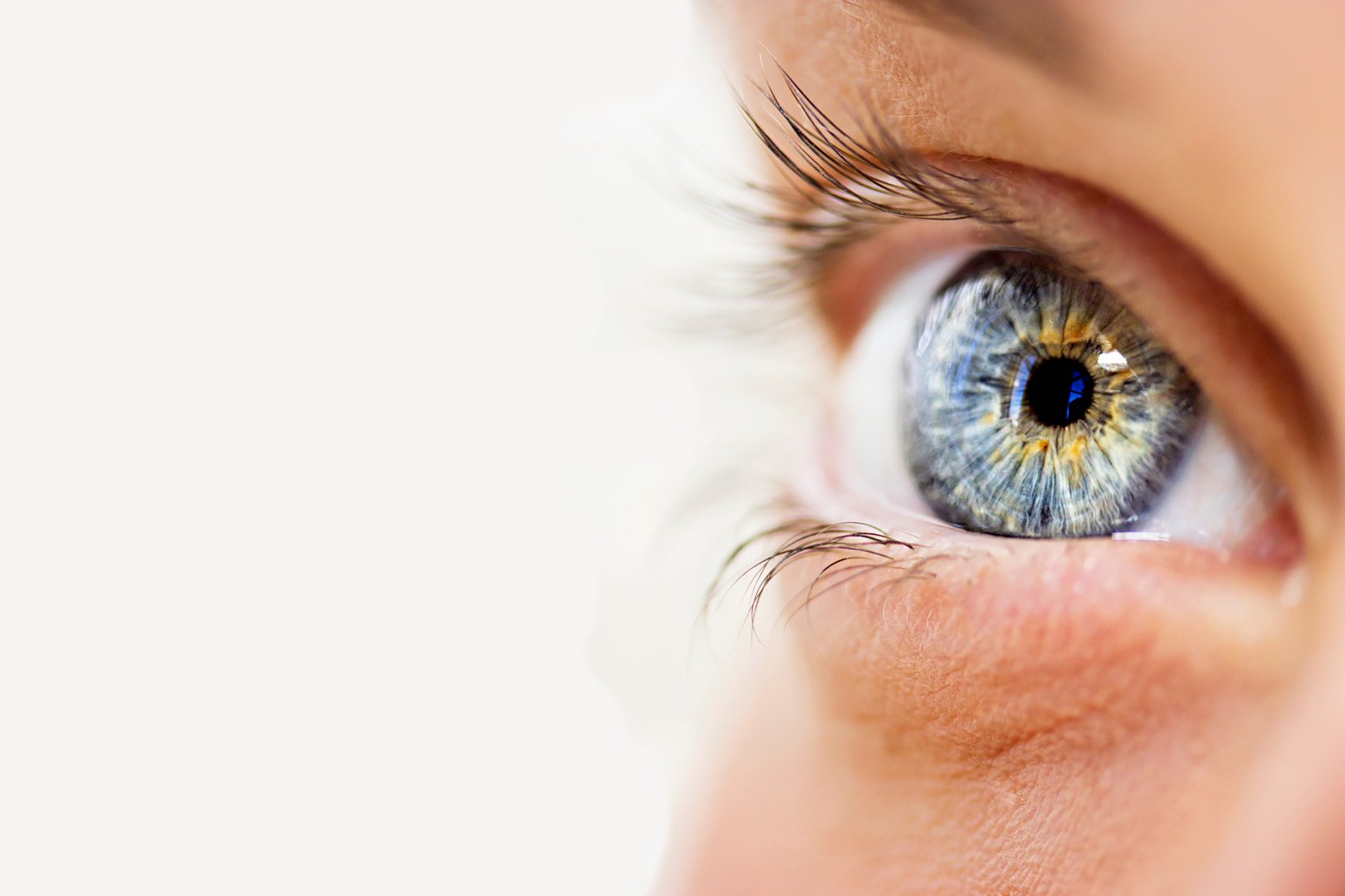 How do our eyes stay focused on what we reach for? Researchers uncover ...