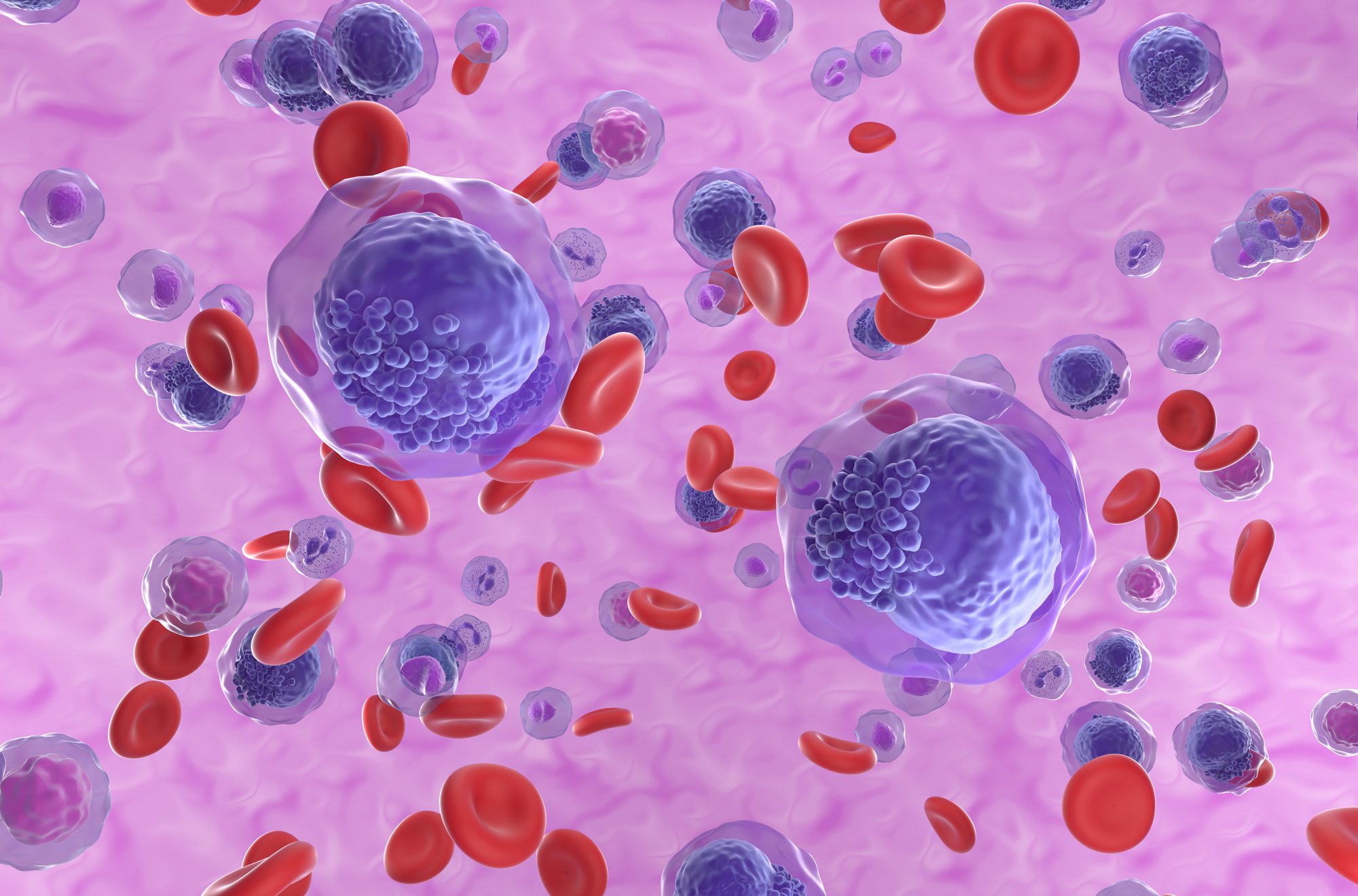 Major discovery provides new hope for blood cancer patients - Medical ...