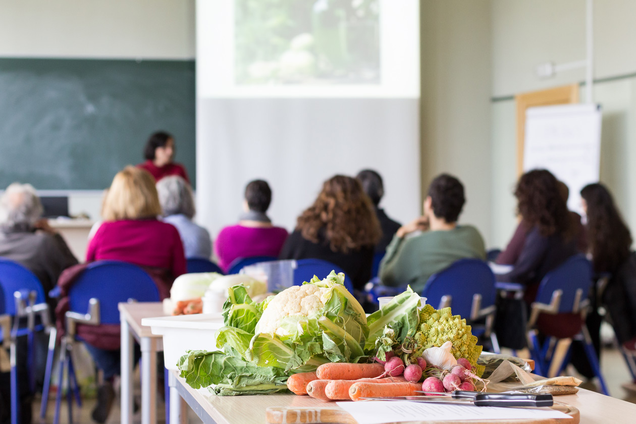 Nutrition education should be ‘on the menu’ of all healthcare ...