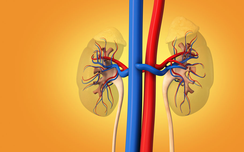 SeaStar Medical provides regulatory update regarding Selective ...