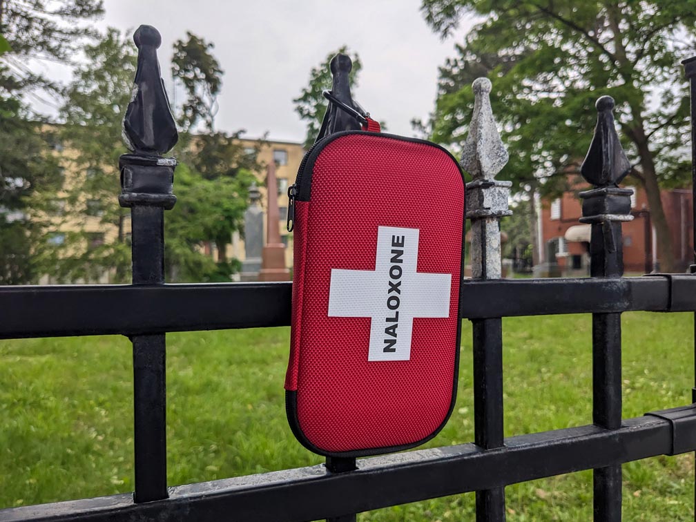 Optimizing public placement of naloxone kits to save lives - Medical ...