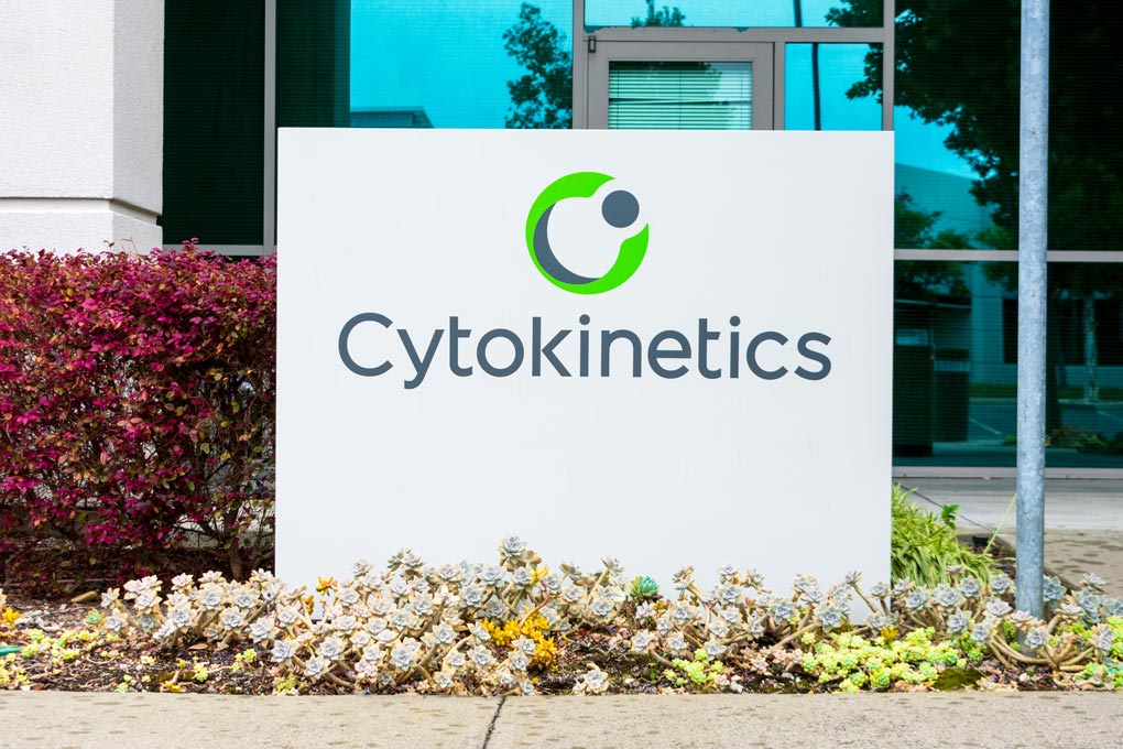 Cytokinetics showcases Five Aficamten presentations at ESC Congress ...